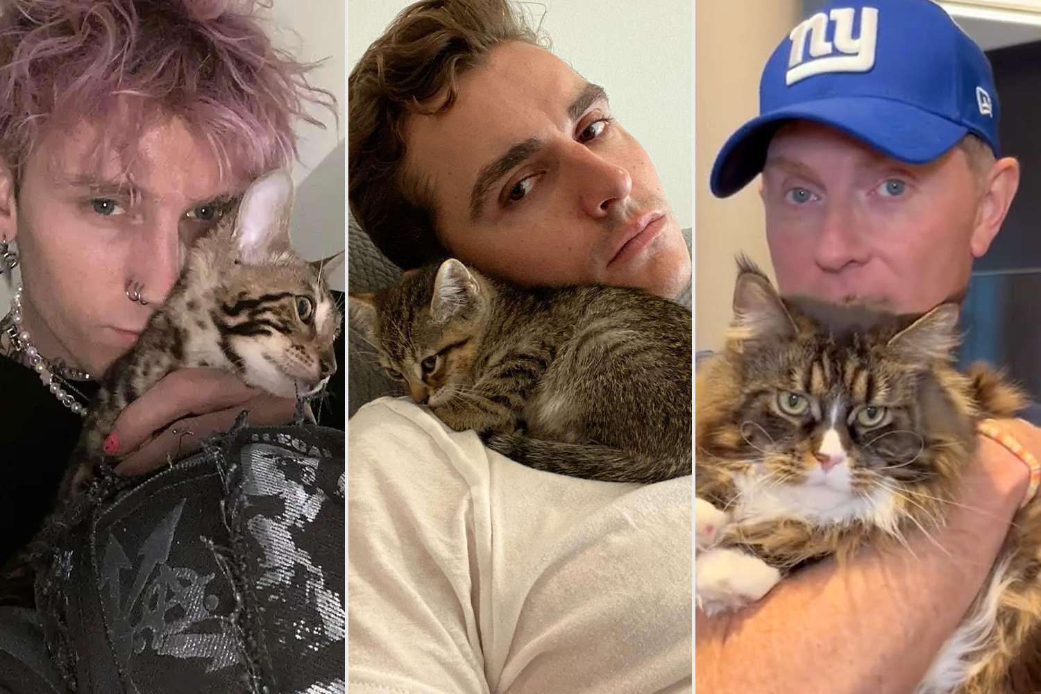After Dave Franco Accepted His 'Sexiest Cat Dad' Title Live on Air, Cat ...
