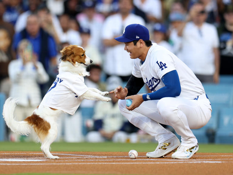 What channel is Dodgers vs Blue Jays World Series Game 1 on TV today ...