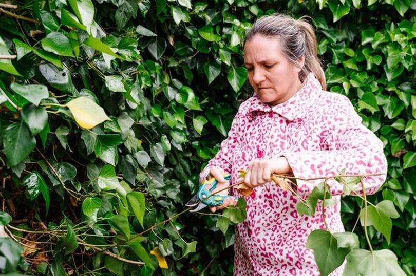 Four 'hazardous' plants you should remove from your garden immediately