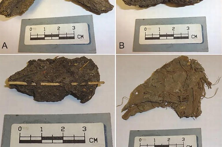 1,300-year-old piece of human faeces found in 'Cave of Dead Children ...