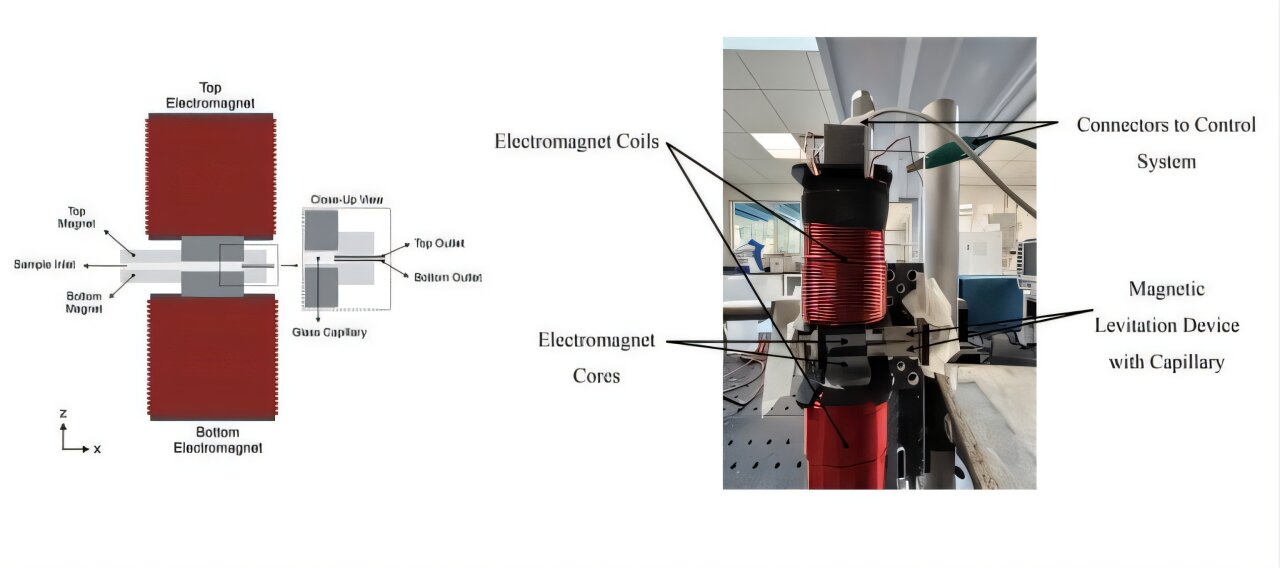 Electromagnetic device identifies cells by seeing how high they levitate