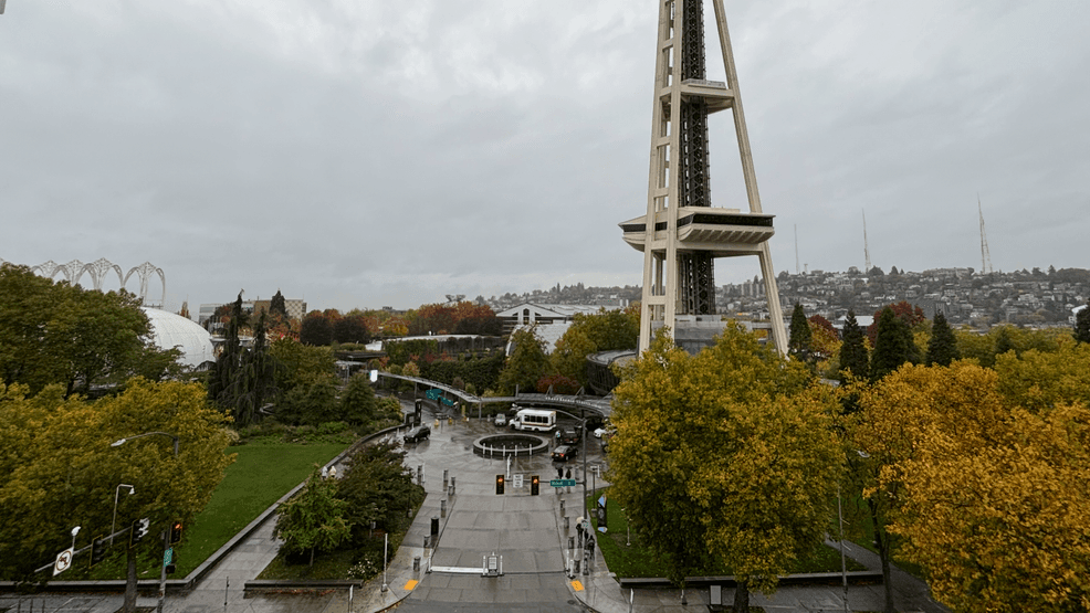 TIMELINE: Heavy rain, gusty winds arrive in western Washington with ...