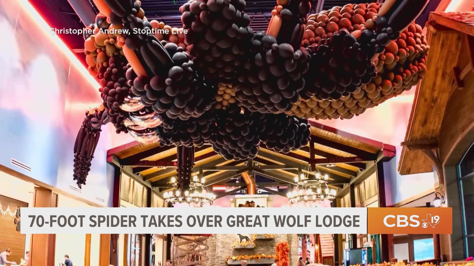 70-foot spider takes over Great Wolf Lodge