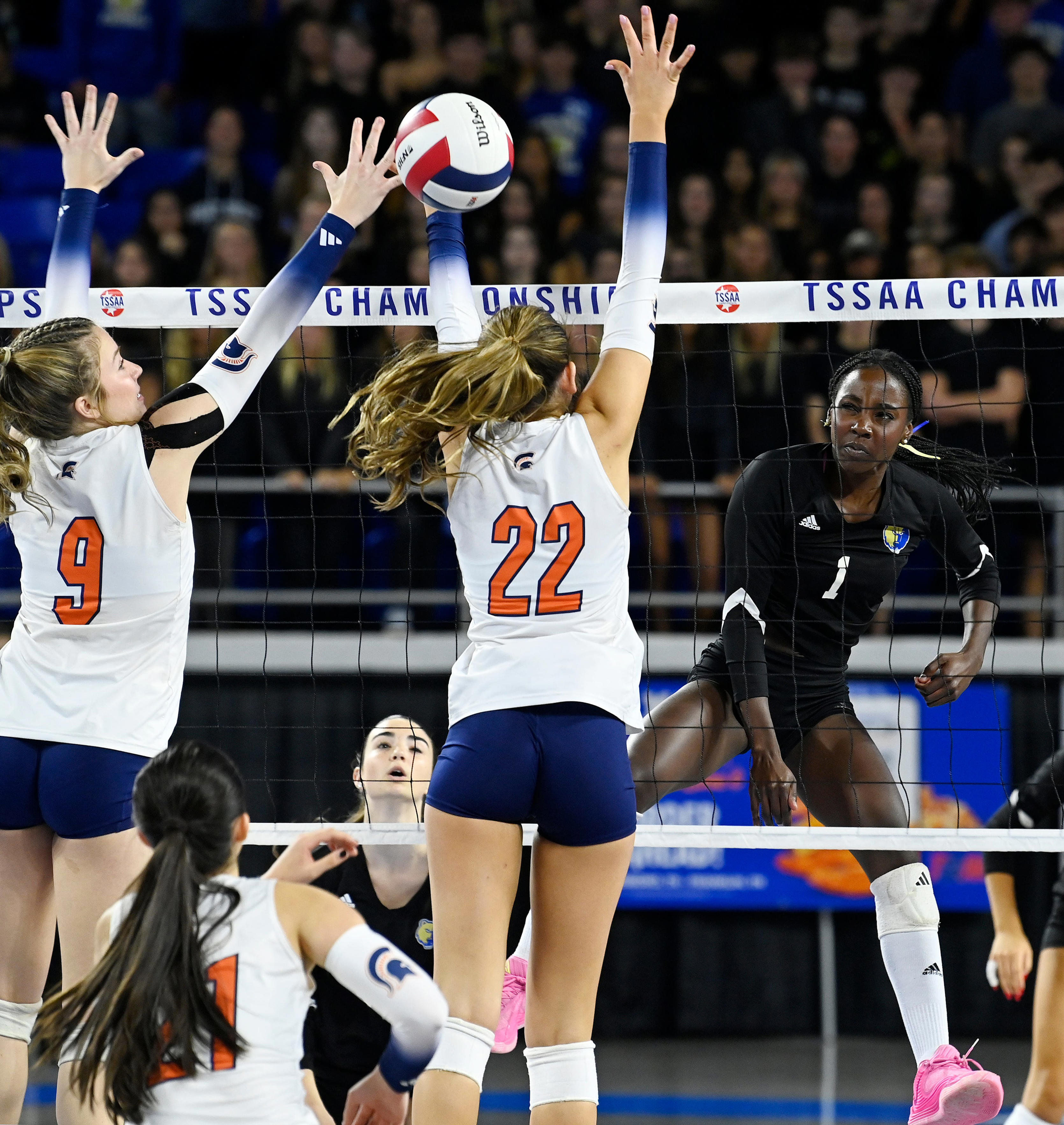 Meet the TSWA 2025 Tennessee high school volleyball all-state teams