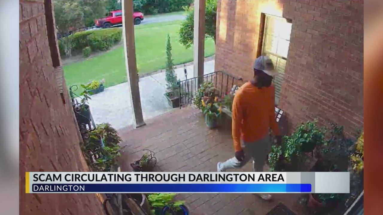 Darlington police warn of man working pine straw scam, stealing thousands