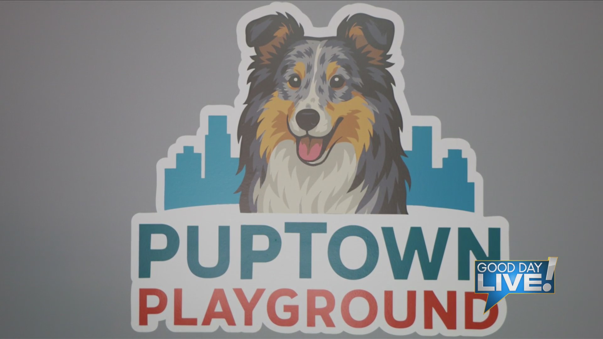 GDL - Love Local: Puptown Playground - sponsored content