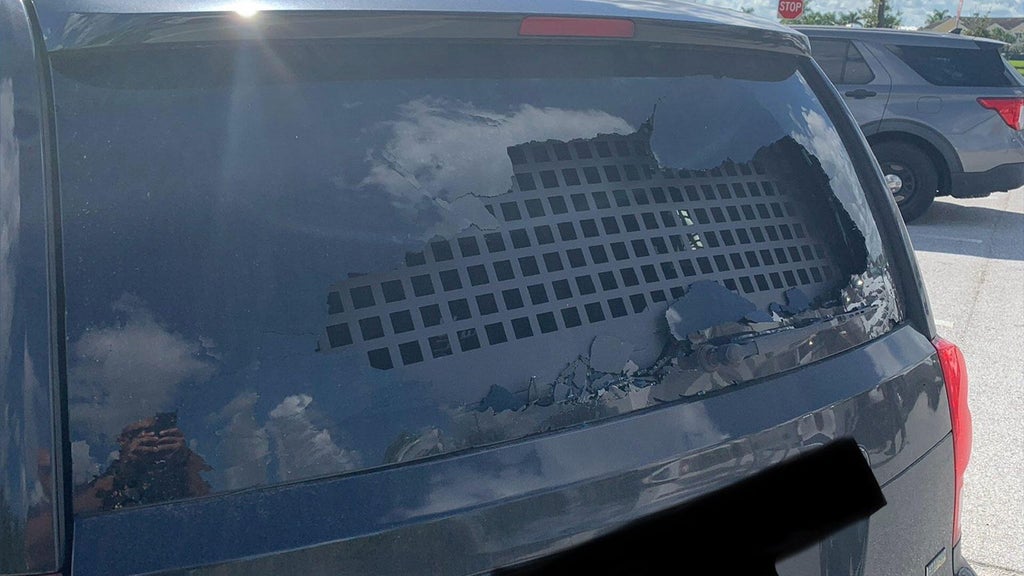Florida teen charged after throwing rock through ICE vehicle window ...