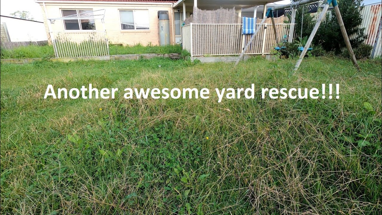 From Overgrown to Overjoyed - The Cleanup That Hit Home