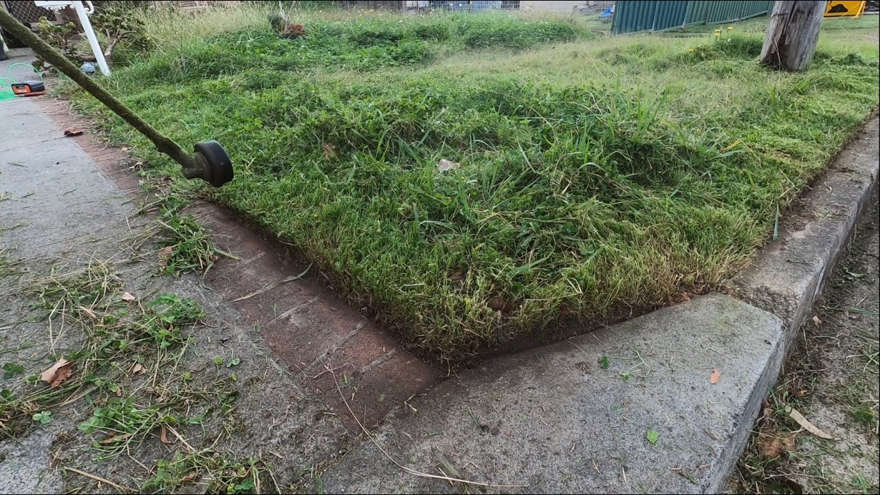 Satisfying Lawn Mow - Helping a Yard in Serious Need