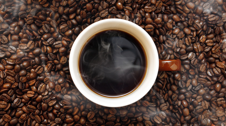 What Are Shade-Grown Coffee Beans And Are They Sustainable?