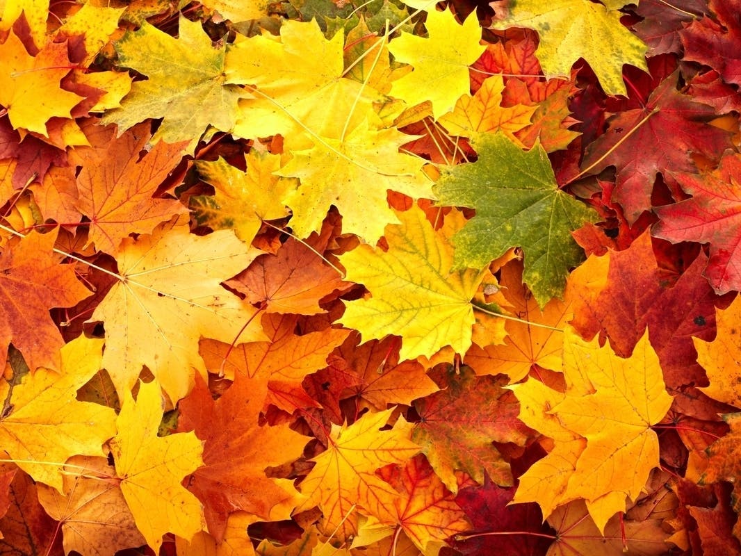 Your Complete Guide To November Fun In The Philadelphia Region