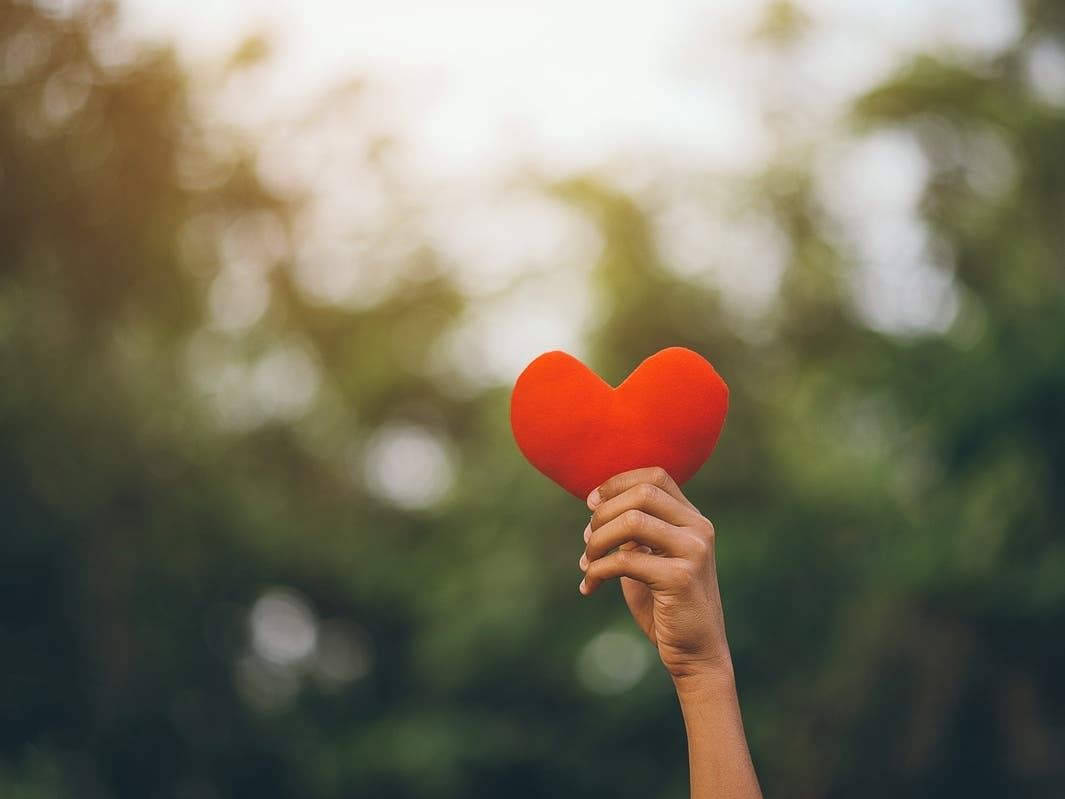 'Shop & Donate Day' At New Lenox Bakery To Benefit Family Of Late ...