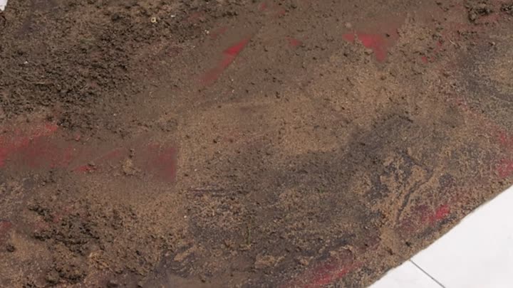 Devuelve la Vida a la Alfombra Sucia