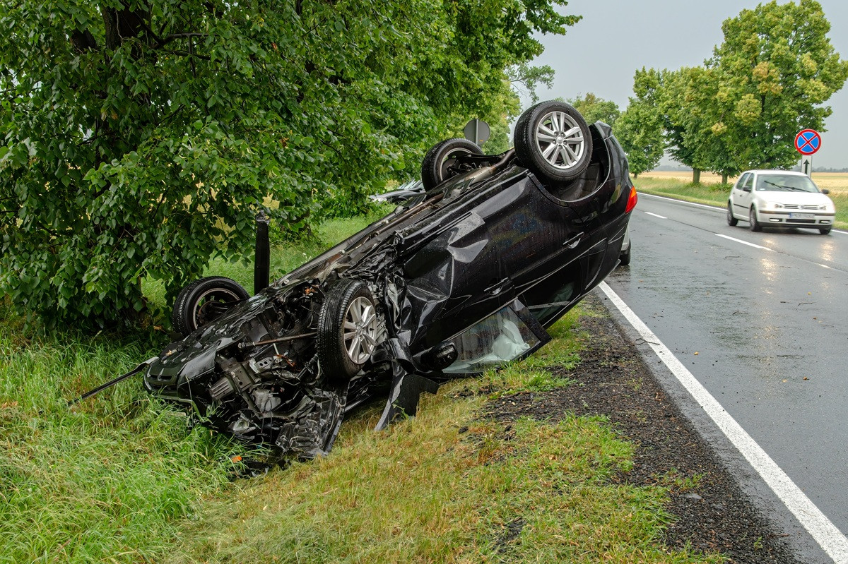 "Qu'est-ce qu'on a fait au bon Dieu ?" : 3 membres de l'équipe du ...