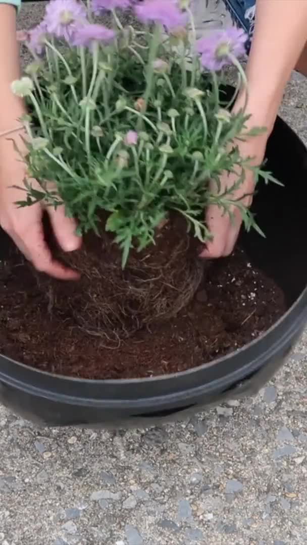 You're using your trash can wrong!