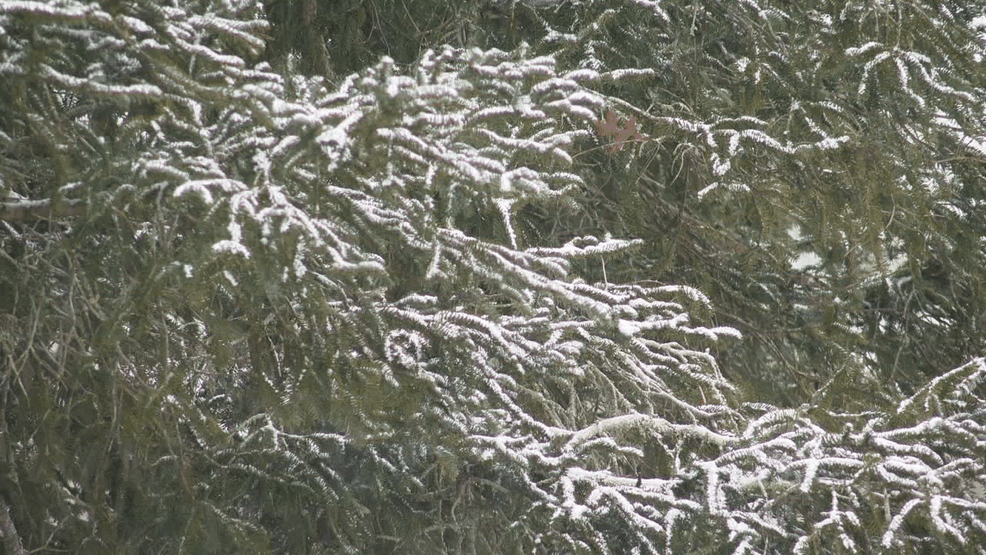 Snow on Halloween in western North Carolina is rare and unlikely: Here ...