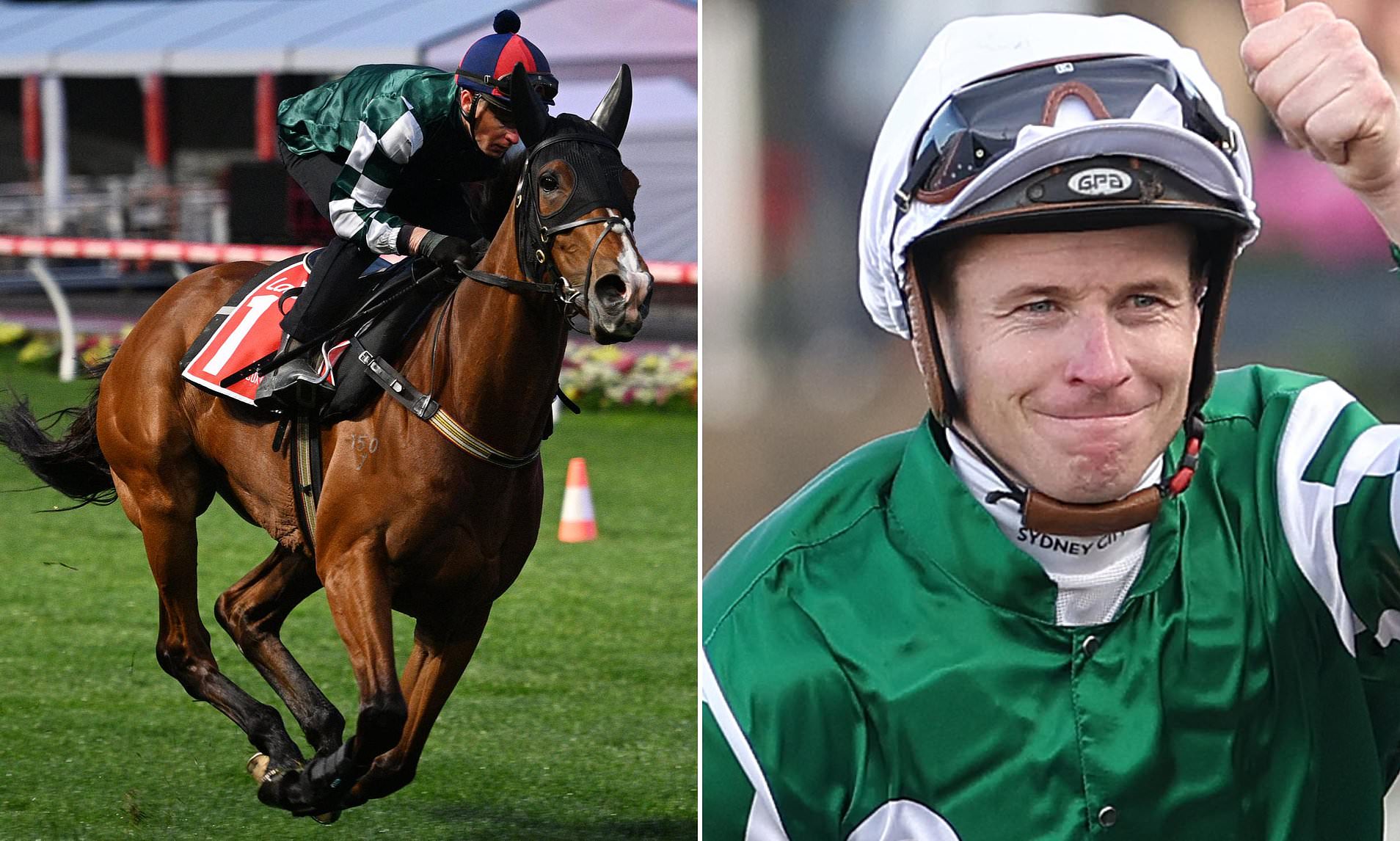 Cox Plate 2025 preview: Why the result of the time-honoured, Group 1 ...