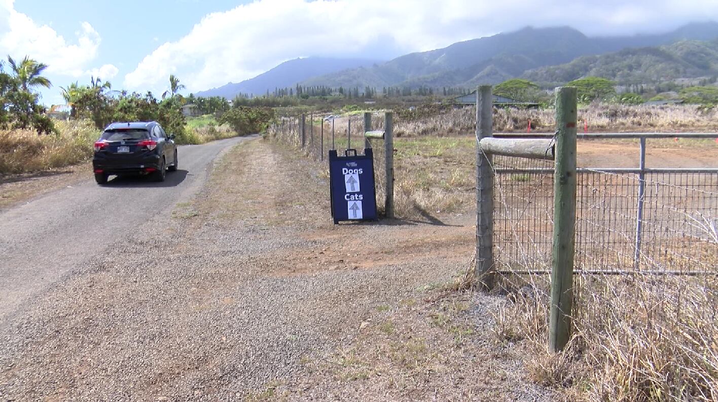 Free spay, neuter clinic on Maui aims to curb overpopulation