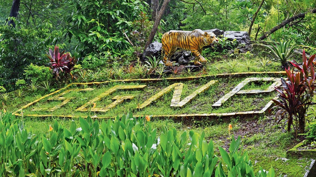 Forest department to launch camera trap study across Konkan belt
