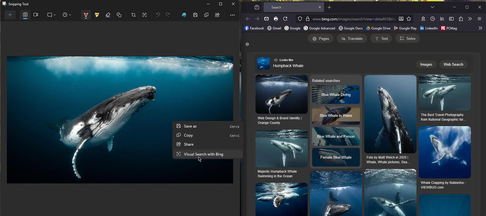 Windows 11's Snipping Tool just got a Google Lens-like feature - here's ...