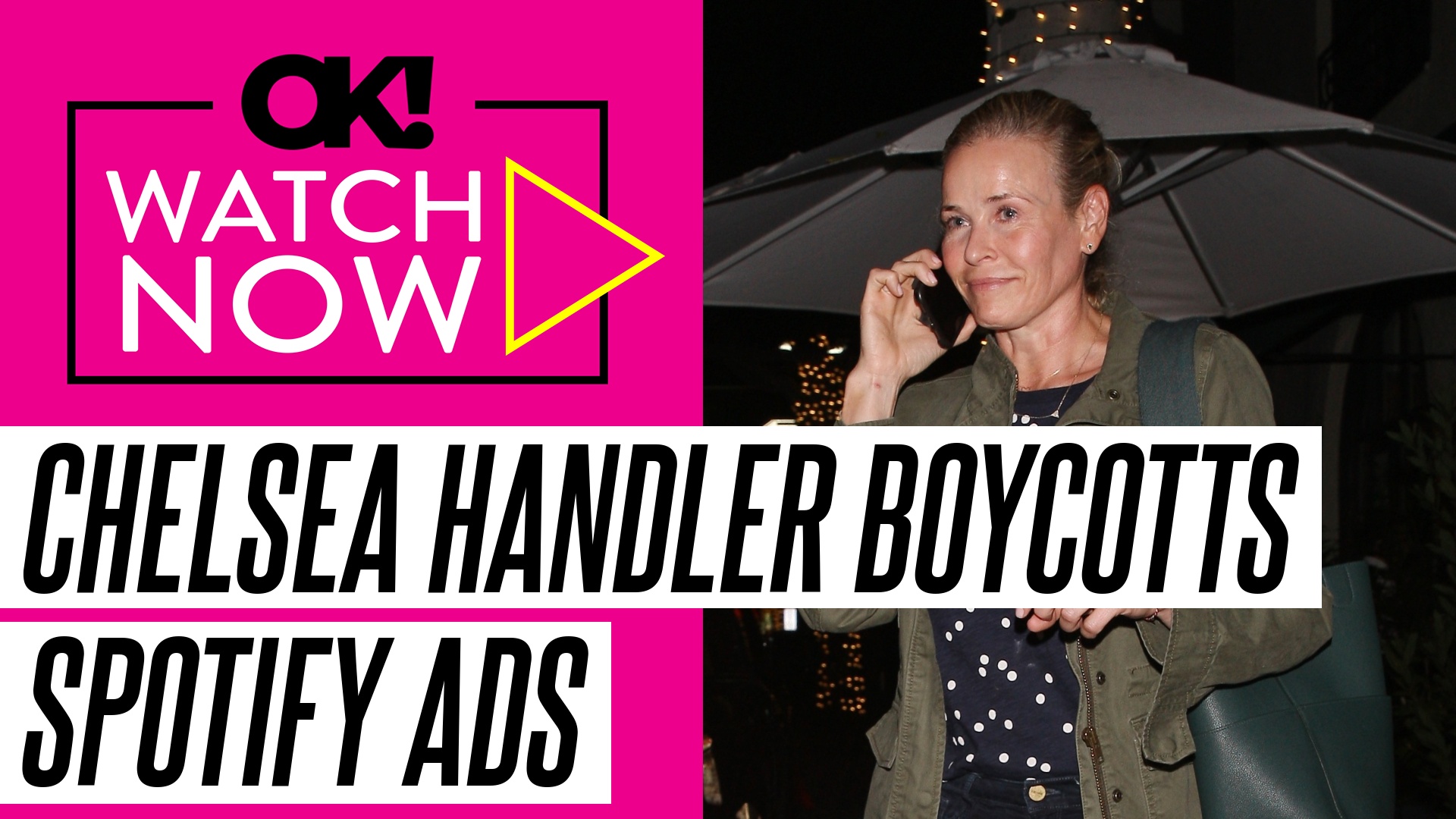 Chelsea Handler Blasts Spotify Over 'Disgusting' ICE Recruitment Ads ...