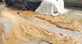 Untimely rains damage paddy stocks in Telangana's Karimnagar, Nalgonda