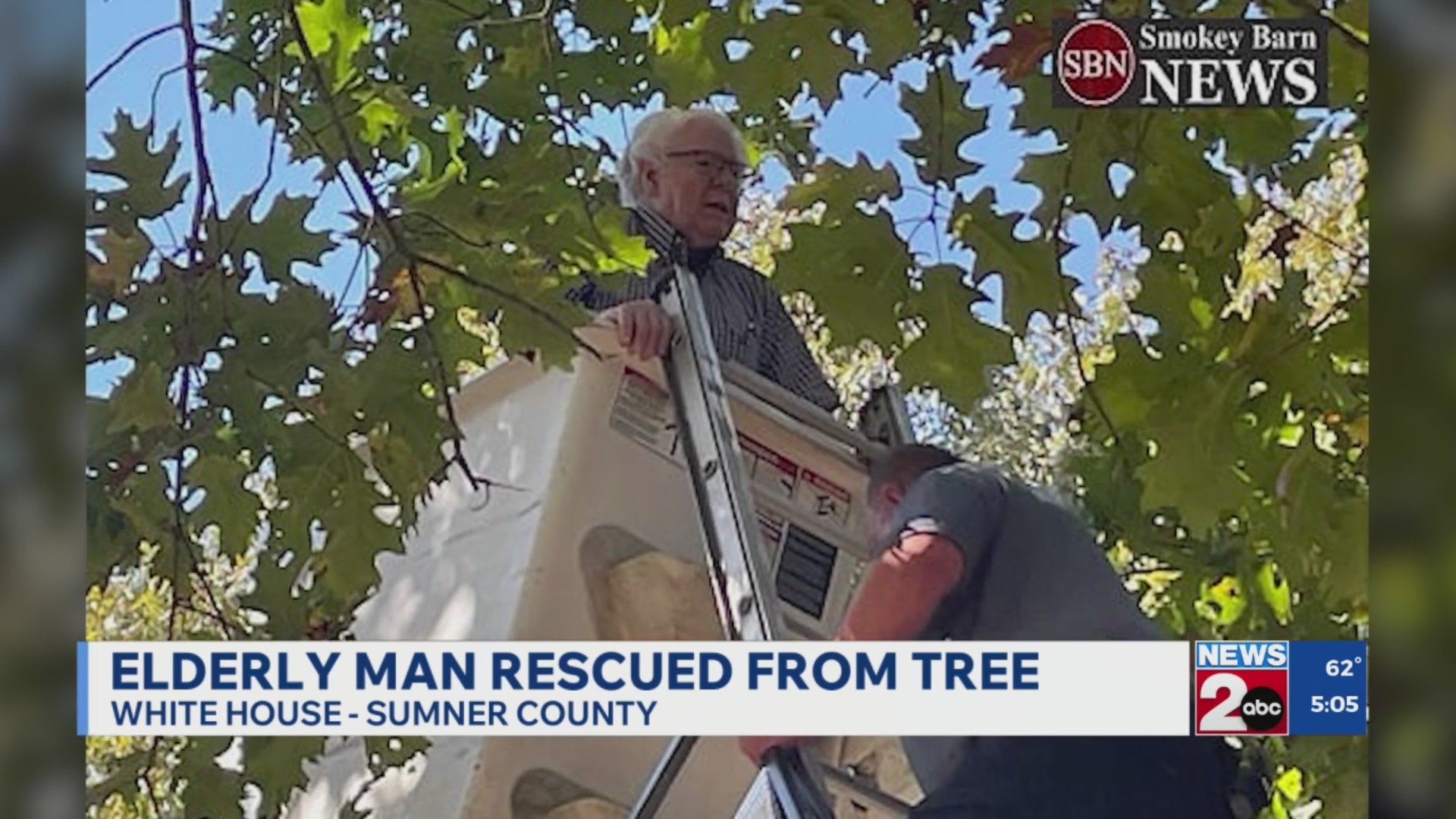 Man rescued from tree in Sumner County