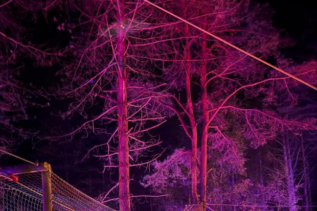 Nightfall in the treetops at Go Ape’s Sundown Adventure