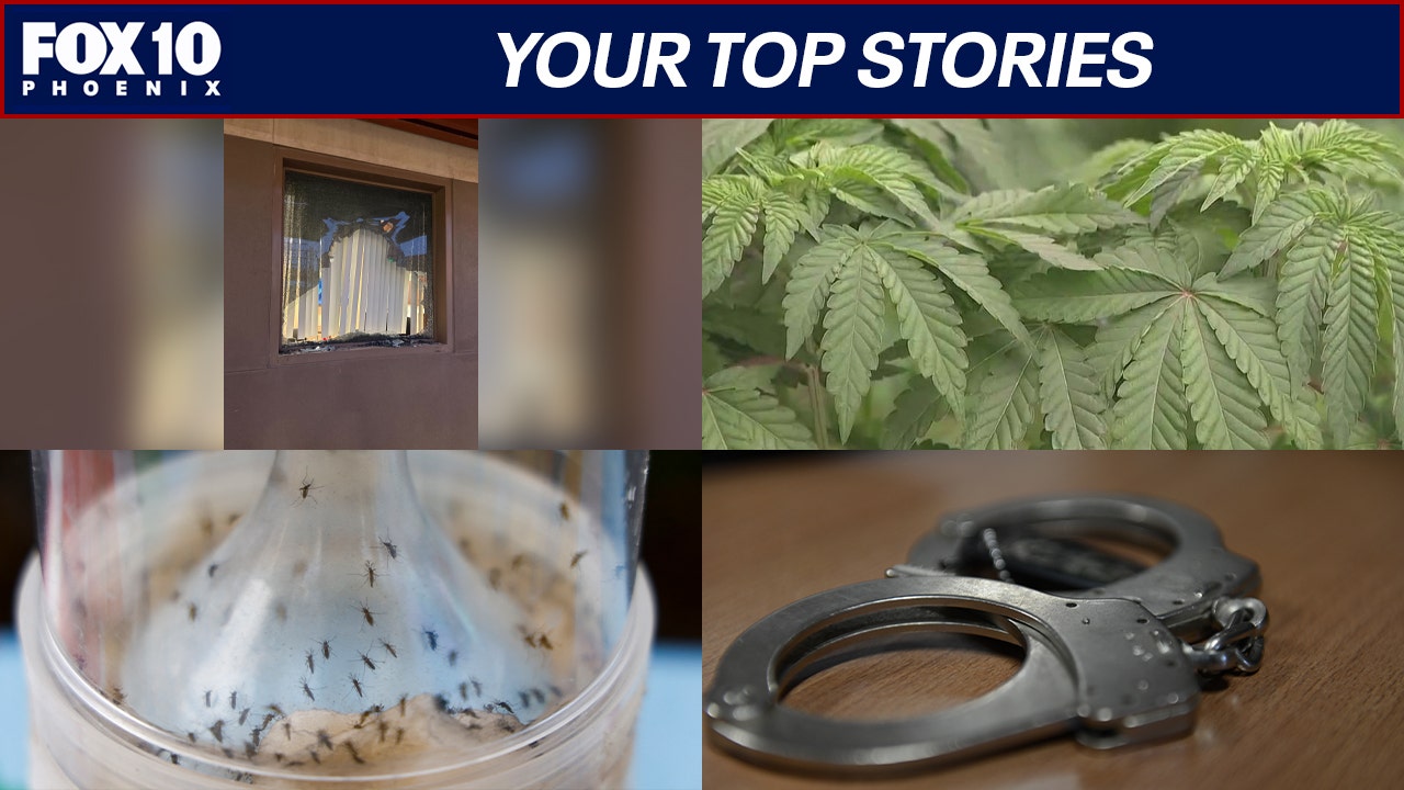 Marijuana recall in Arizona; suspects in deadly shooting arrested ...