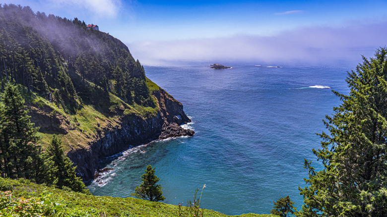 Nestled On Oregon's Coast Is A Soaring Basalt Ridge With Whale-Watching ...
