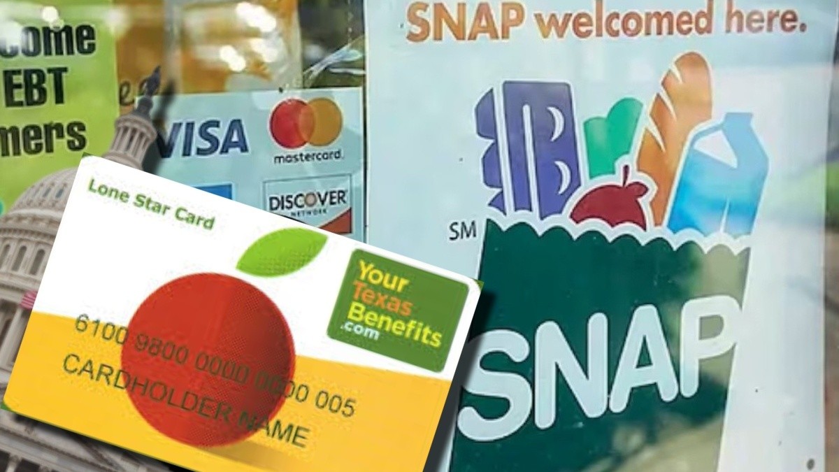 SNAP in November 2025: These are the requirements to register