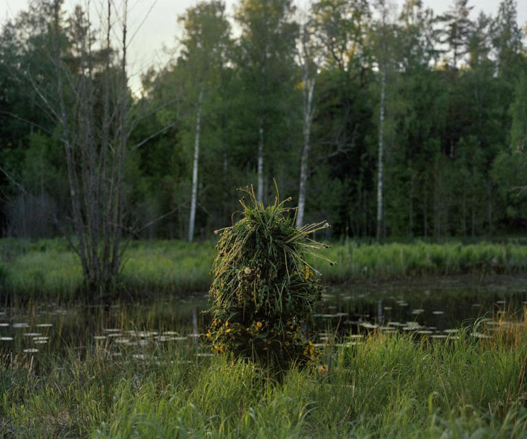 The American Swedish Institute reveals its 2026 exhibition calendar