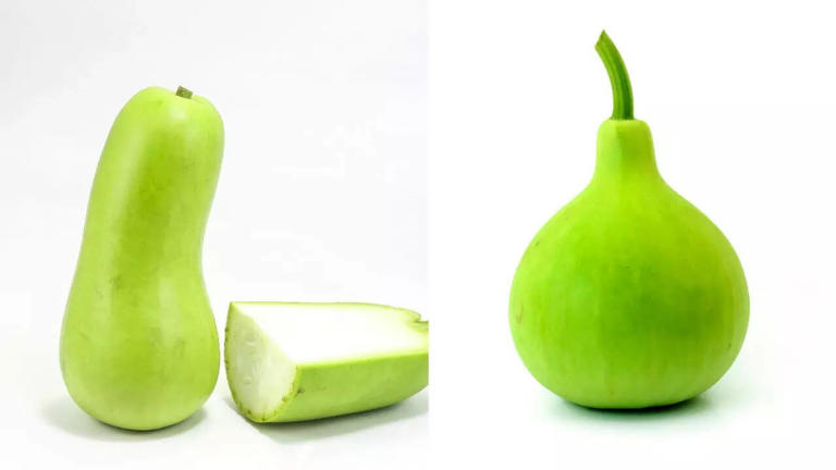 Long Gourd vs. Round Gourd: Comparing the health benefits and culinary uses