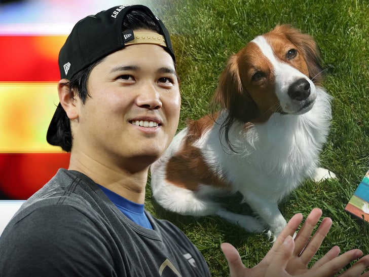 Shohei Ohtani Rocks Decoy Letterman Jacket Ahead of World Series Game 1