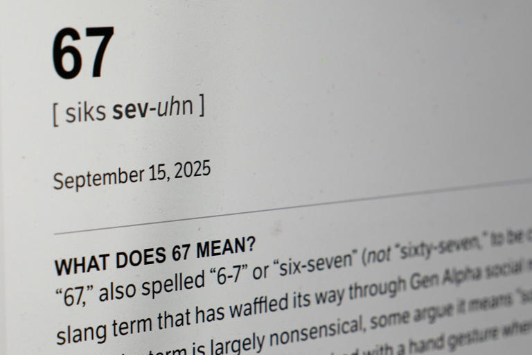 Dictionary.com Names '67' 2025 Word of the Year