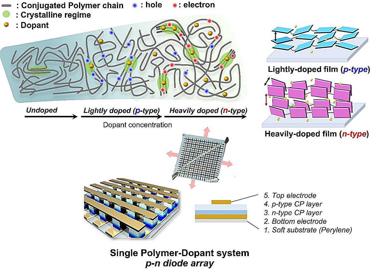 Concentration‑controlled doping turns a p‑type polymer semiconductor ...