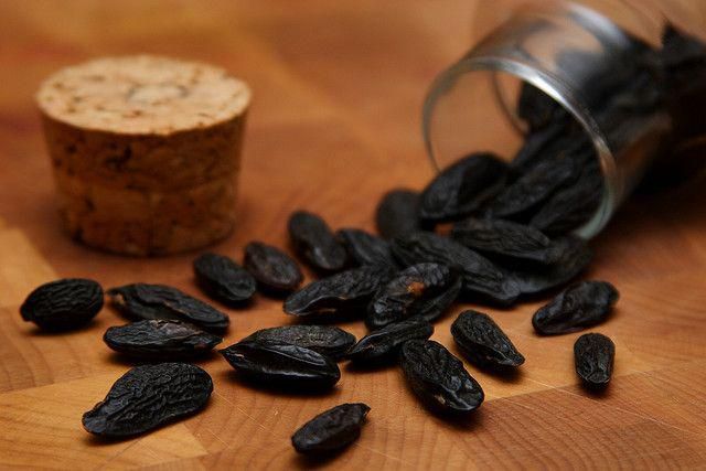 Tonka Bean Wangi Apa? Deskripsi, Karakteristik, dan Contoh Parfumnya