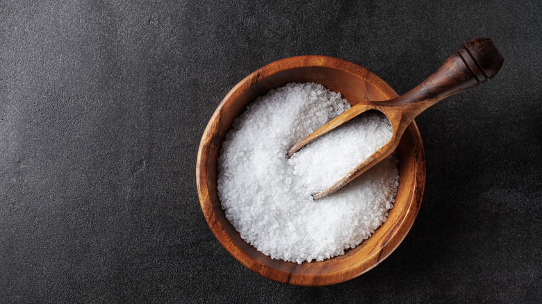 Everything You Need To Know About Salt