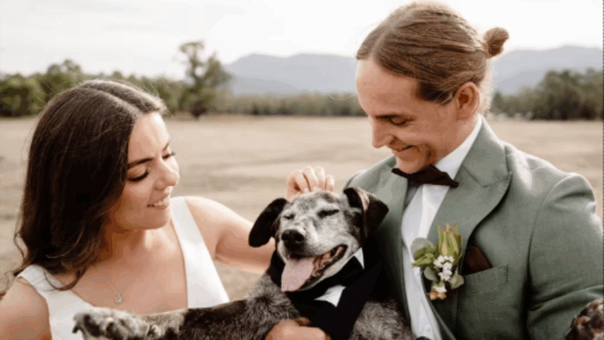 Tears as Couple Turns Their Wedding Into a Farewell for Their 19-Year ...