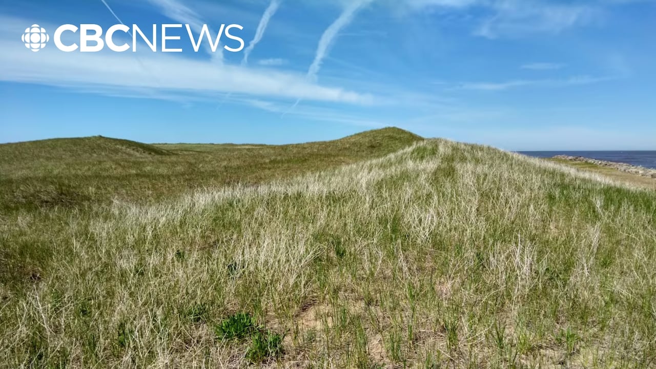 Nova Scotia considers golf course proposal in Cape Breton