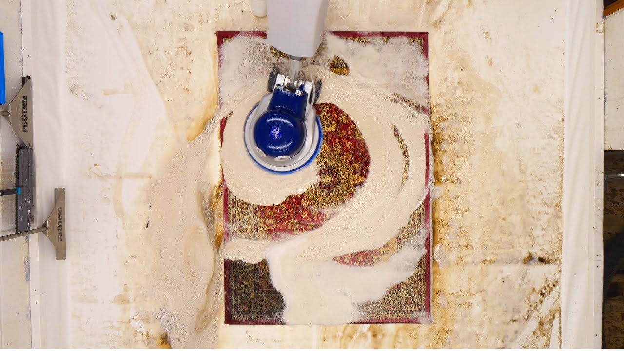 Satisfying time lapse rug cleaning