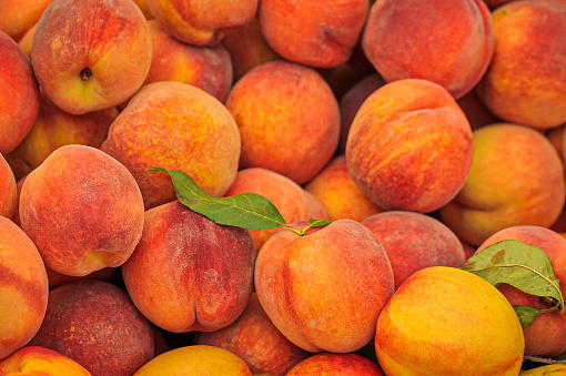 Lubbock celebrates peach season with festivals, 2026