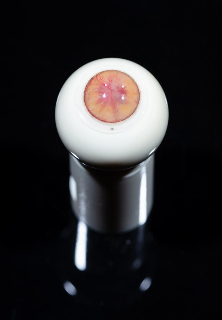 How Blue-Eyed Jeremy Allen White Became Brown-Eyed Bruce Springsteen in ...