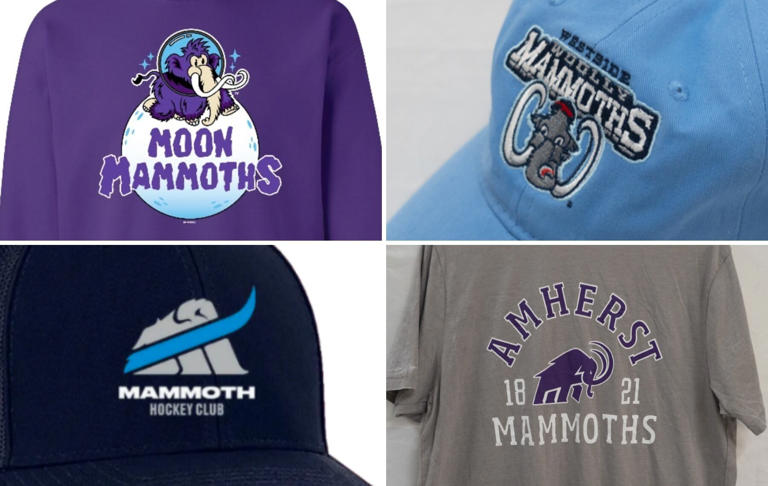 Utah Mammoth fire back at trademark lawsuit, saying the franchise might ...