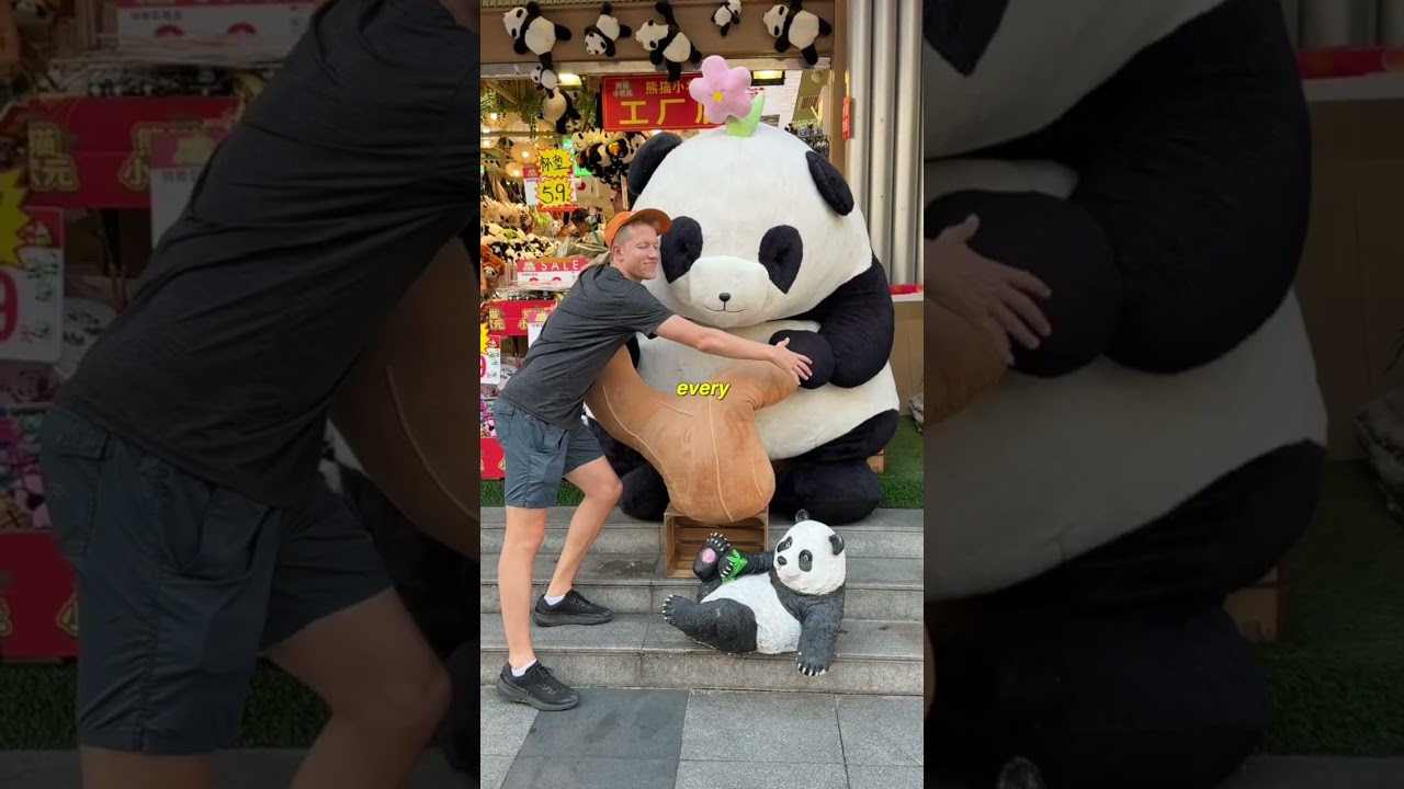 The Chinese city that is obsessed with pandas