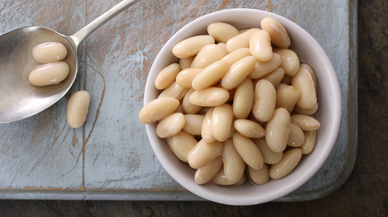 A Guide To Beans: 15 Types & What Dishes To Make With Them