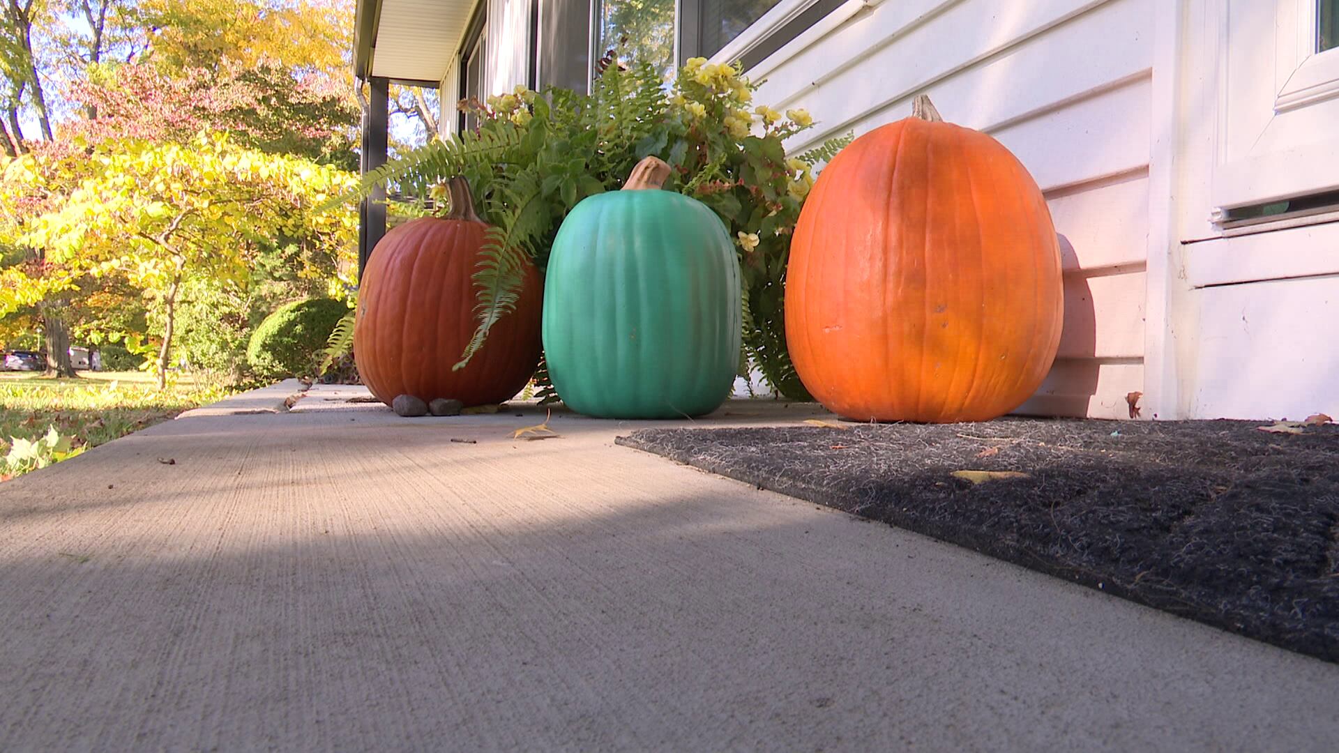 Teal Pumpkin Project helps Michiana kids with food allergies enjoy ...