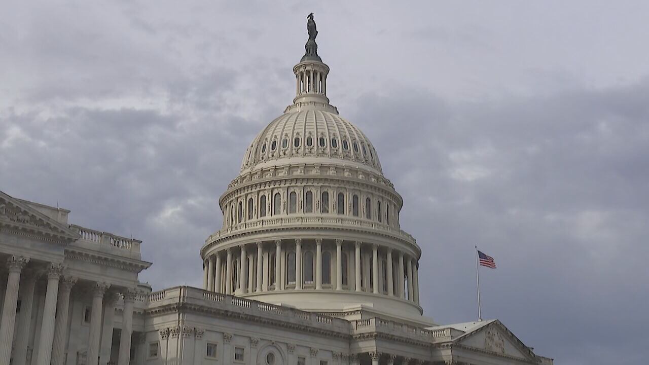 Georgia primary election 2026: Candidates for US Senate, all 14 US ...
