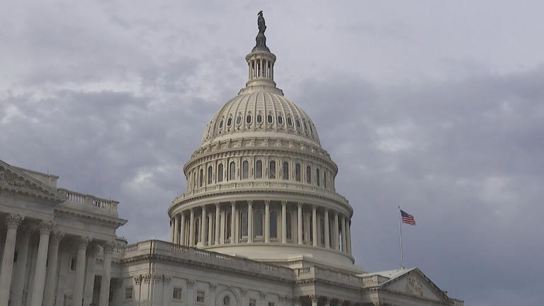 Georgia primary election 2026: Candidates for US Senate, all 14 US ...