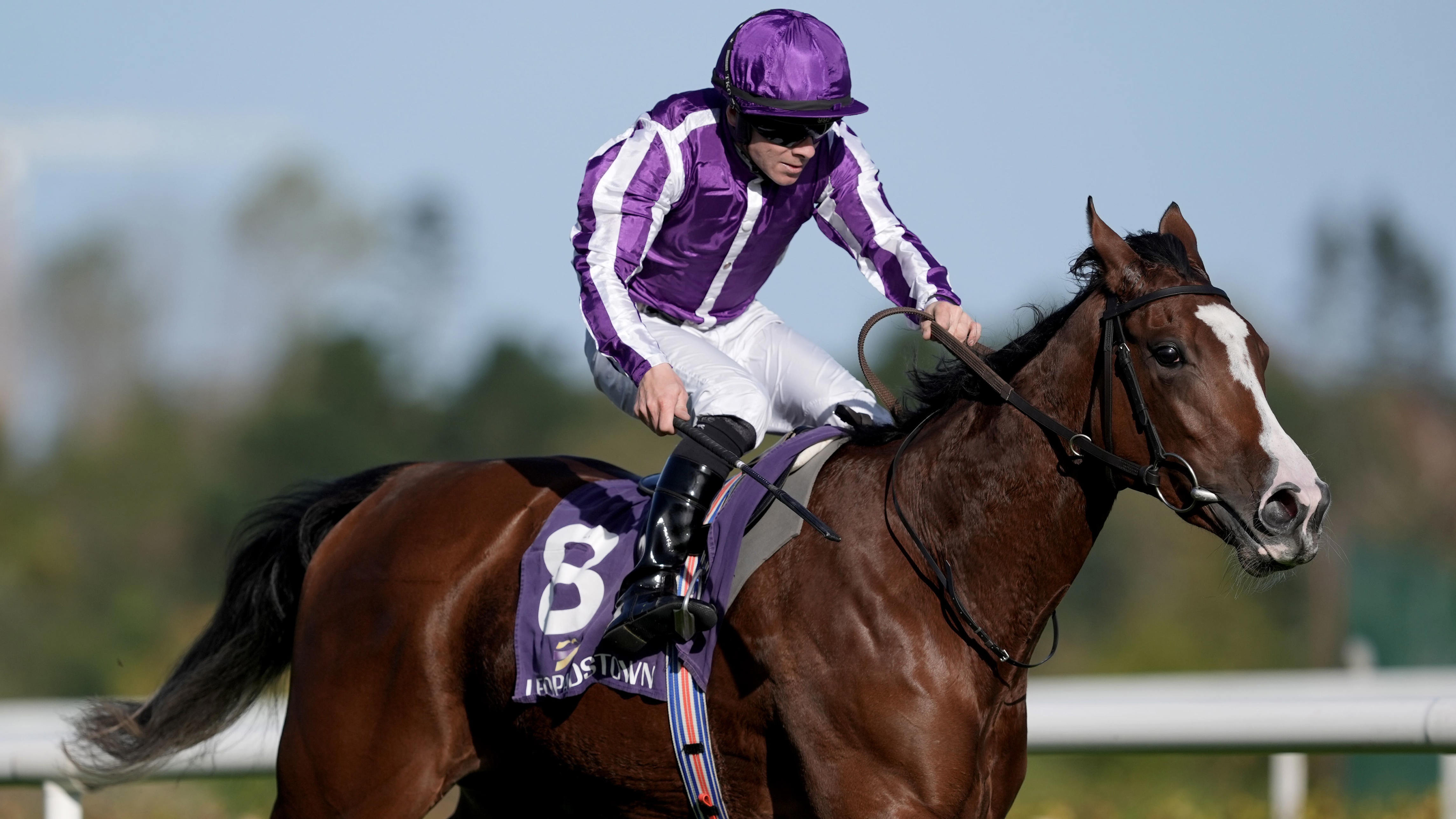 Soumillon hails ‘top class’ Minnie Hauk as she aims for Arc redemption